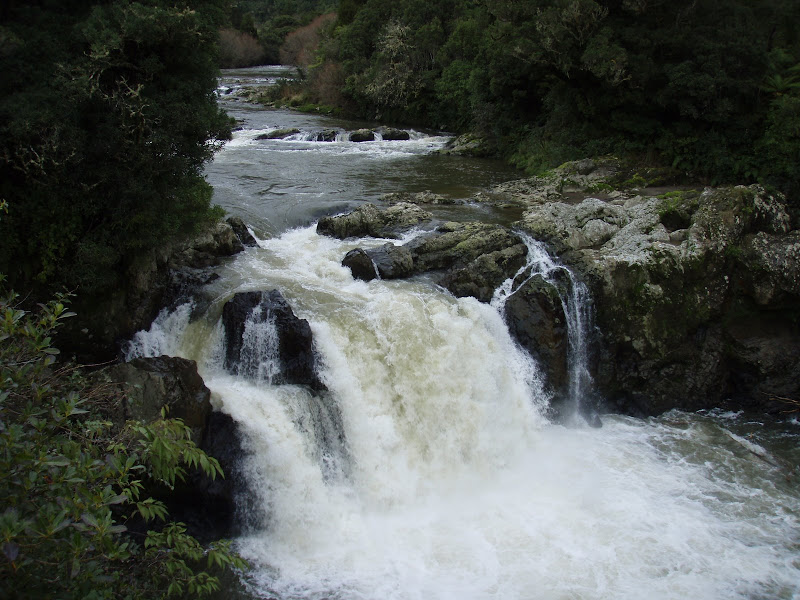 Motu-Matawai-Minginui Midwinter Madness 07 | Adventure Rider
