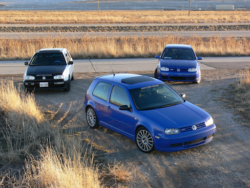 Little fun with German Vermin | VW Vortex - Volkswagen Forum