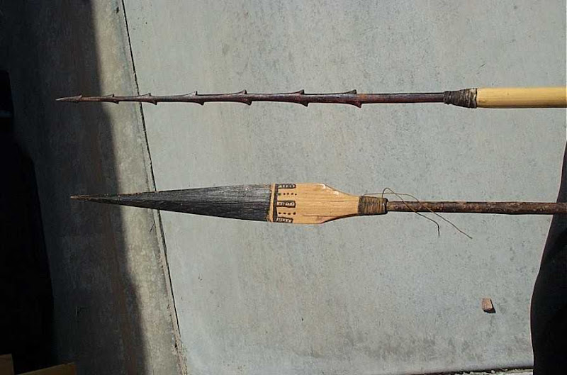 amazon bow pics - PaleoPlanet